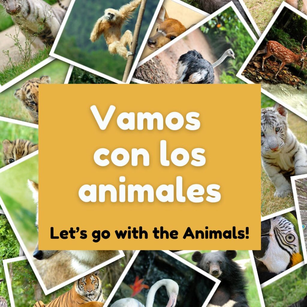 Vamos con los Animales